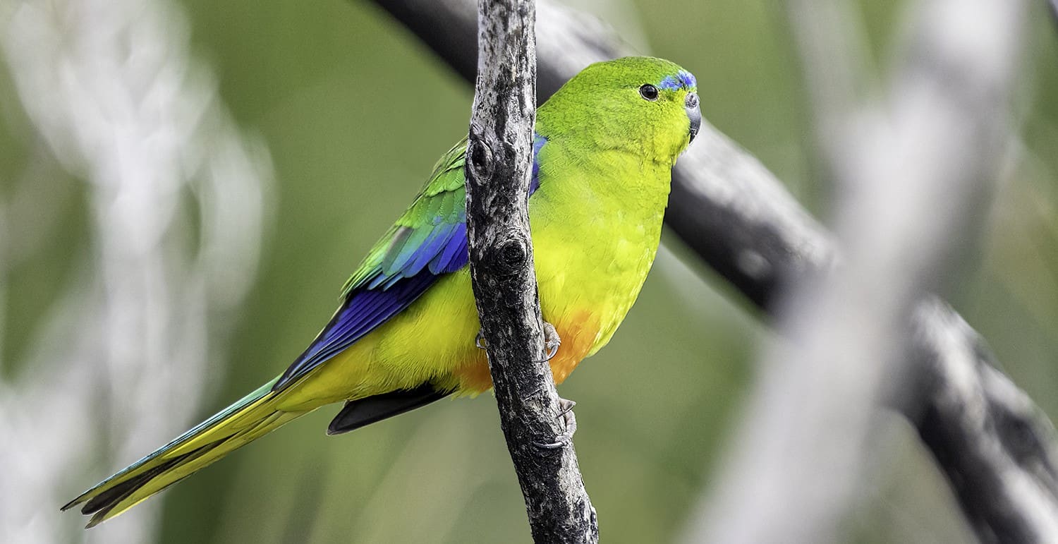 The Evidence Toolkit: supporting evidence-based decision making in ...