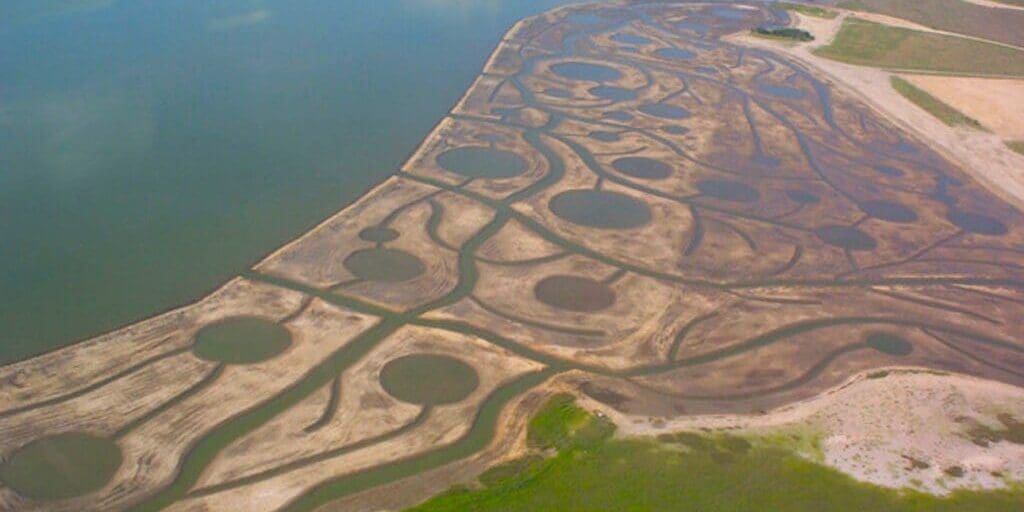 Evidence-based conservation with Mossy Earth: encouraging lessons and ...